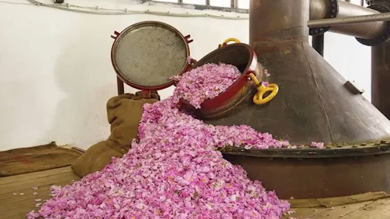 How to make rose water at home | Book Recipes