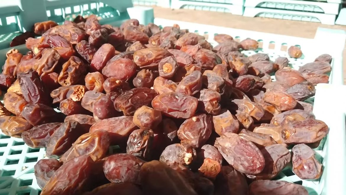 How to Make DATE SPICE CHOCOLATE CAKE | Book Recipes