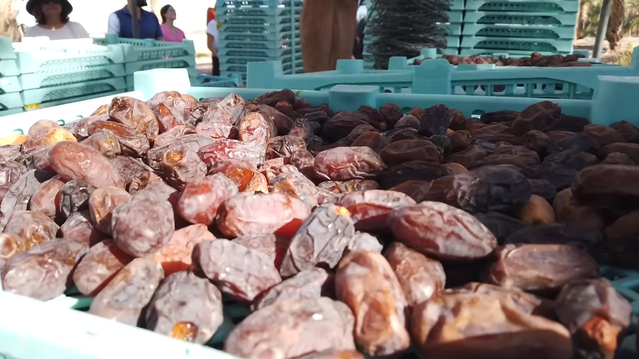 How to Make DATE SPICE CHOCOLATE CAKE | Book Recipes